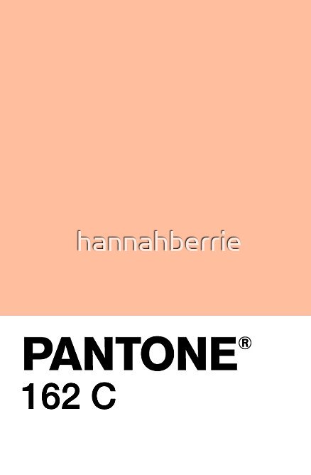 "Pantone Tropical Peach " by hannahberrie | Redbubble