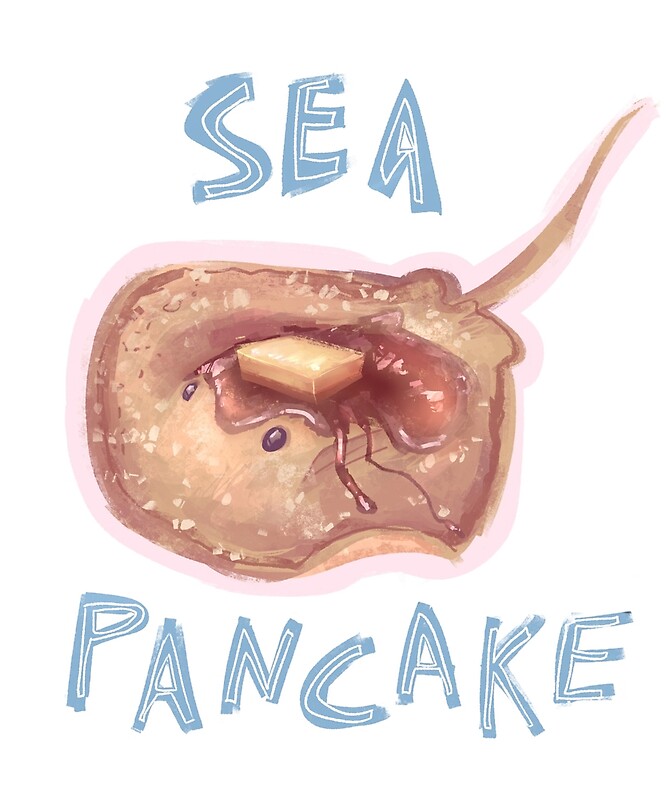 "Sea Pancake - updated!" by ghostofstarman | Redbubble