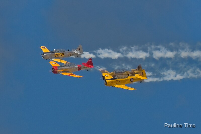 "US Navy Display" by Pauline Tims | Redbubble