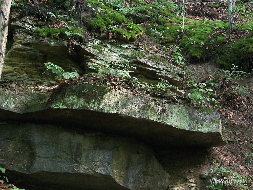 "Rock Ledge" by WickedJuggalo | Redbubble