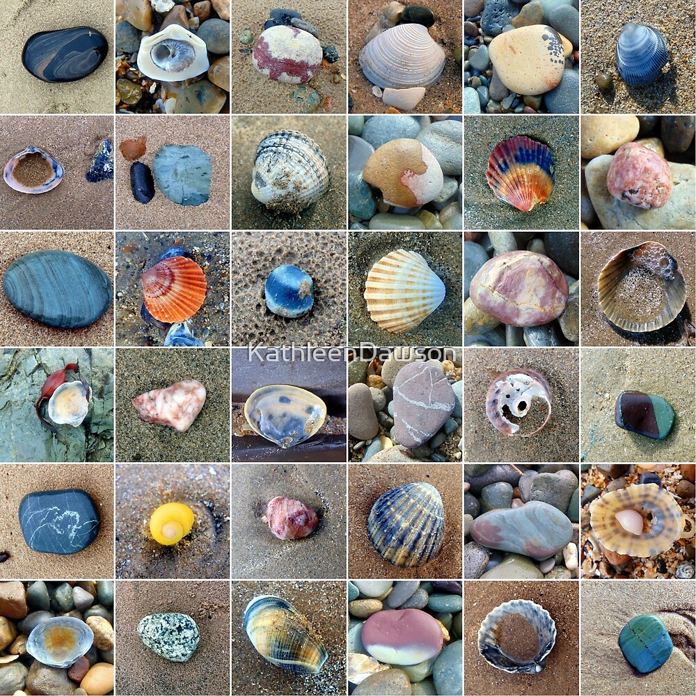 "pebbles and shells" by KathleenDawson | Redbubble
