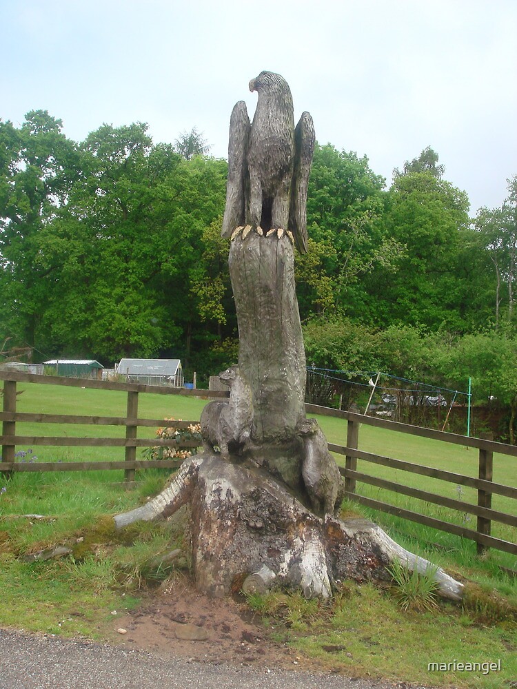 "Eagle tree carving statue....Inverary Scotland" by marieangel | Redbubble