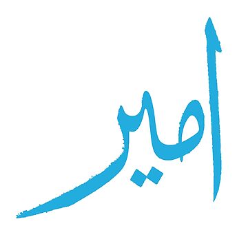 "Amir in Arabic Calligraphy" Greeting Card for Sale by Paradisessntl ...