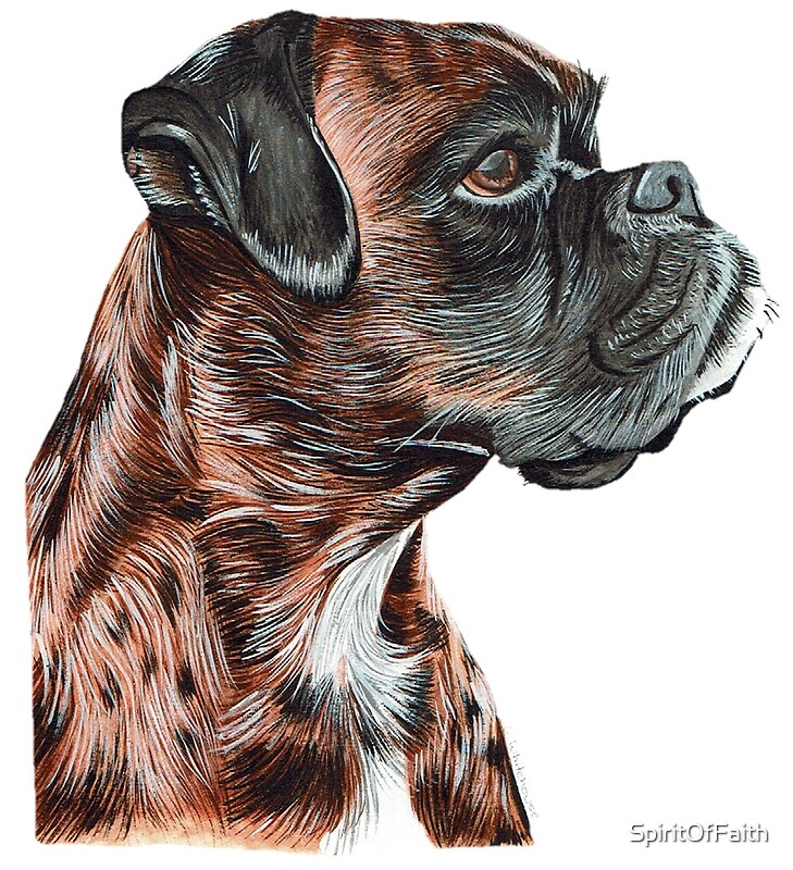 ""Bruce" Boxer" by SpiritOfFaith | Redbubble