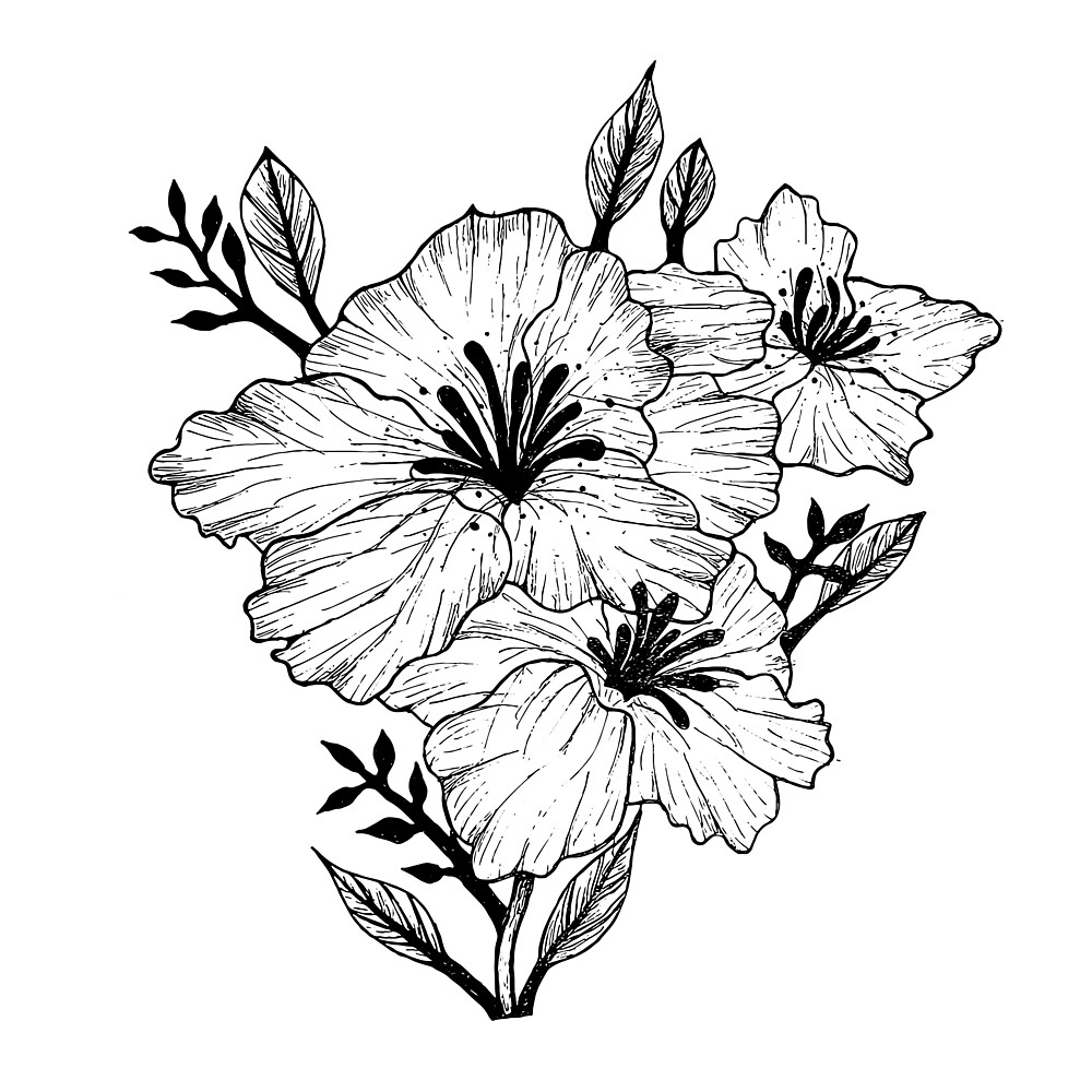 "Blossoming Flowers Drawing" by Sophia Mack | Redbubble