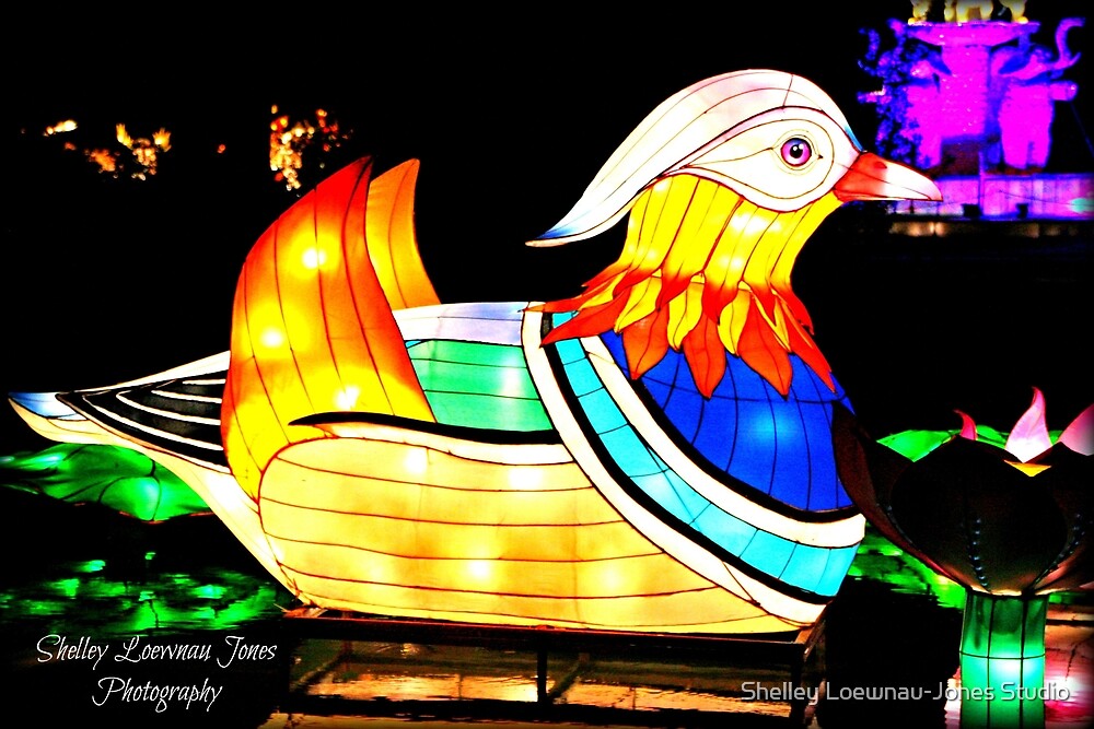 "Mandarin Duck Lantern at Chinese Lantern Festival" by Shelley Loewnau ...