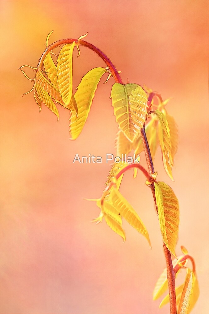 "Stylized Baby Chestnut Leaves" by Anita Pollak | Redbubble