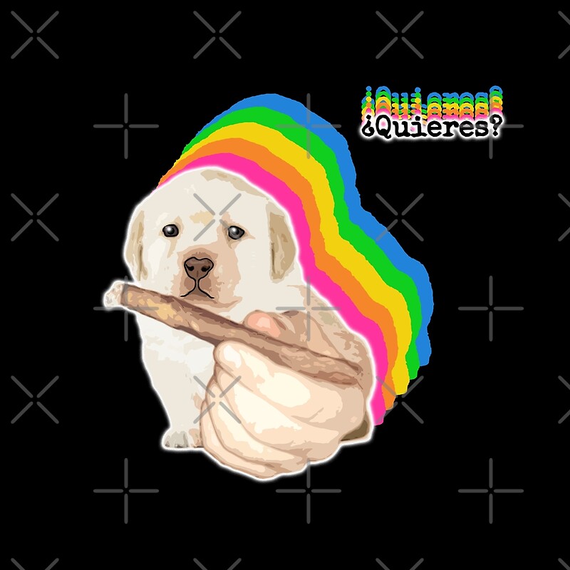 "¿Quieres? Puppy Meme" by Barnyardy | Redbubble