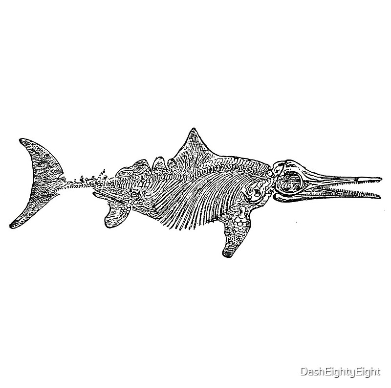 "Really Old Fish Bones" by DashEightyEight | Redbubble