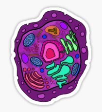 Animal Cell Stickers | Redbubble