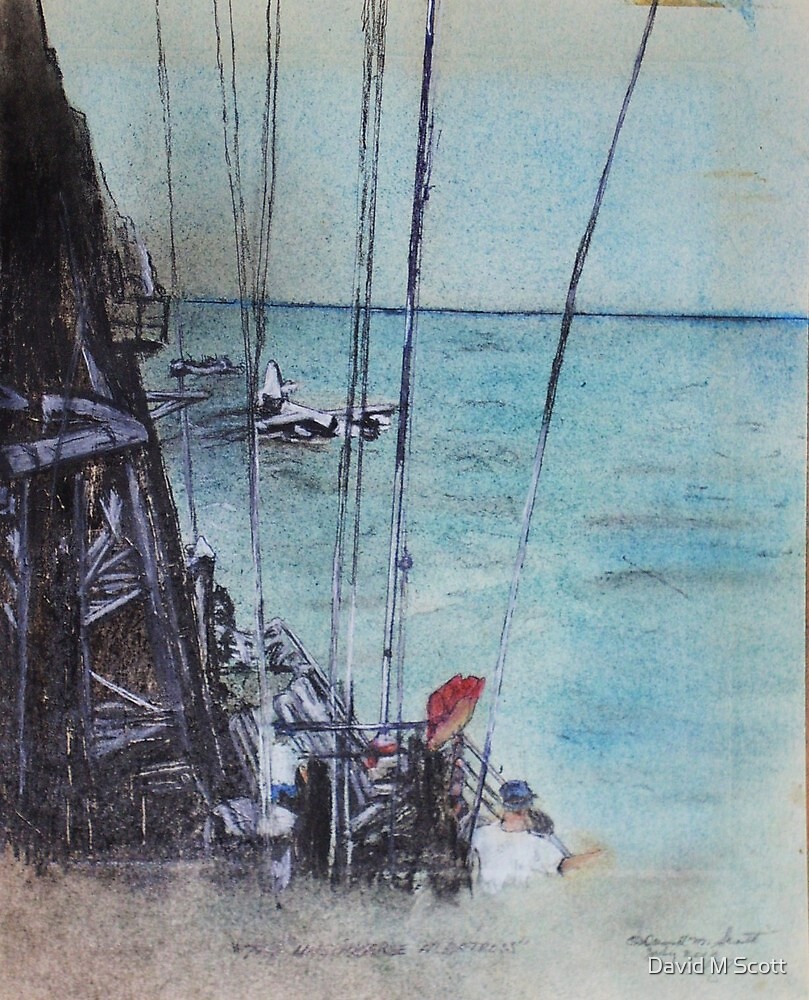 "DDR 838, The Unsinkable Albatross Tonkin Gulf 1965" by David M Scott ...