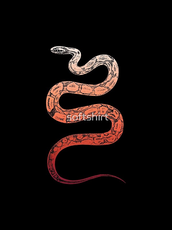 "Aesthetic Snake" by softshirt | Redbubble