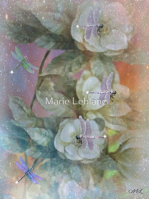 "DRAGONFLY ANGELS" by Marie Leblanc | Redbubble