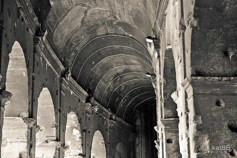 "Colosseum roof - Rome, Italy" by kat86 | Redbubble