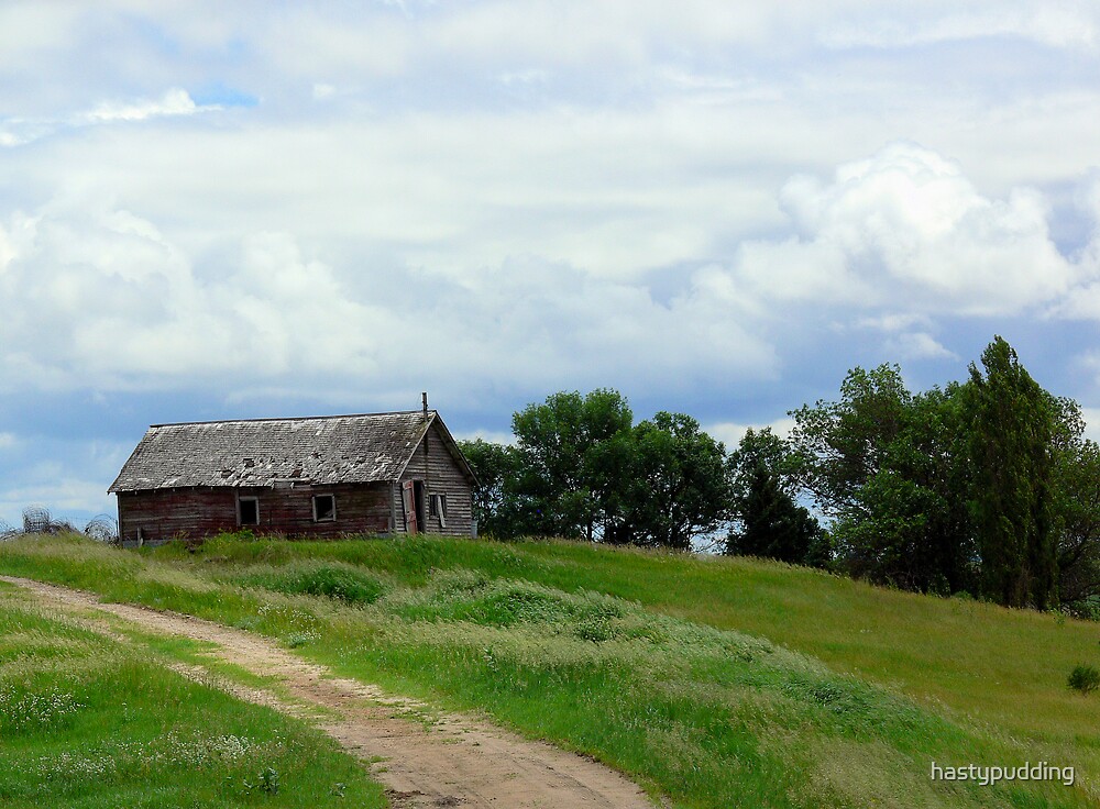 "Little House on the Prairie-Lake Benton, Mn" by hastypudding | Redbubble