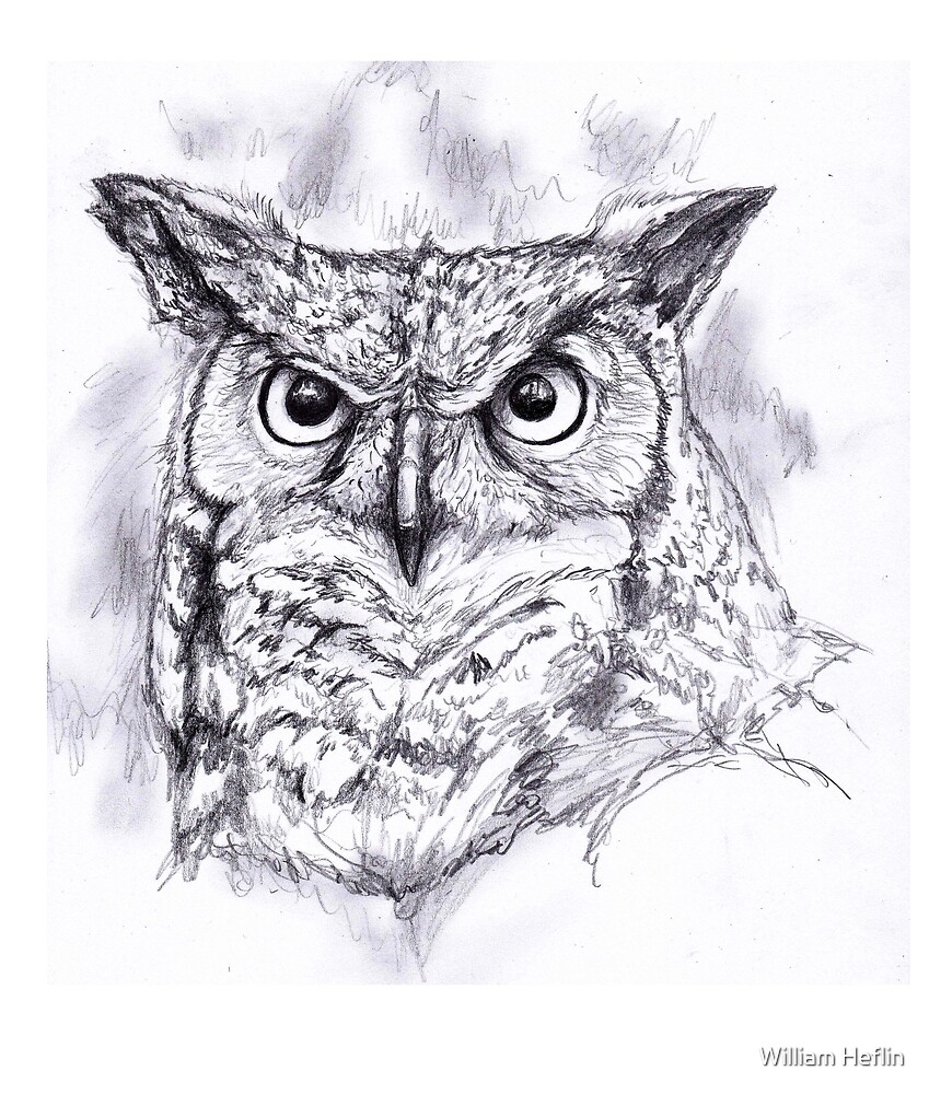 "Traditional Owl Drawing!!" by William Heflin | Redbubble