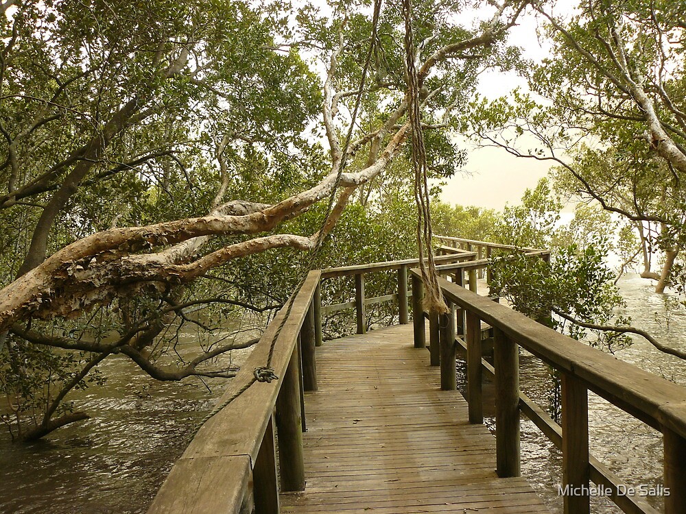 "Mangrove walk Part I - Brooklyn Australia" by Michelle De Salis ...
