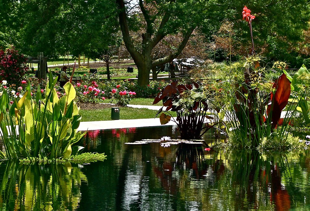 "Hendrie Park, Royal Botanical Gardens" by Heather Vallance | Redbubble