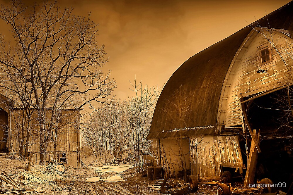 "" Sepia in Color "" by canonman99 | Redbubble