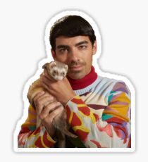 Jonas Brothers Stickers | Redbubble