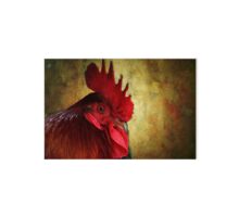 ""Rustle Crow ..."" by Rosehaven | Redbubble