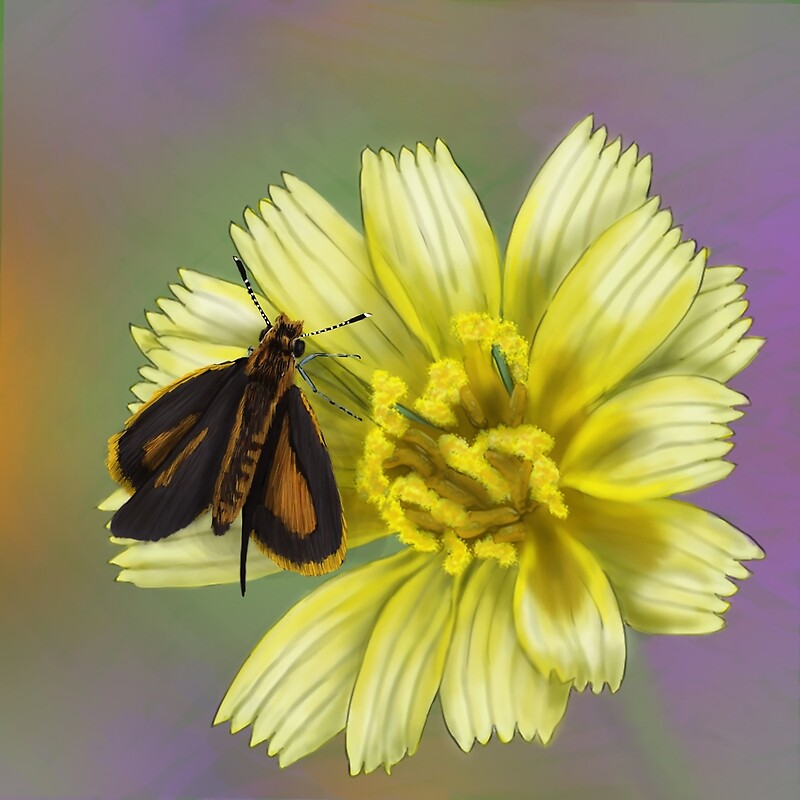 "Tiny Skipper" by Nancy Zack | Redbubble