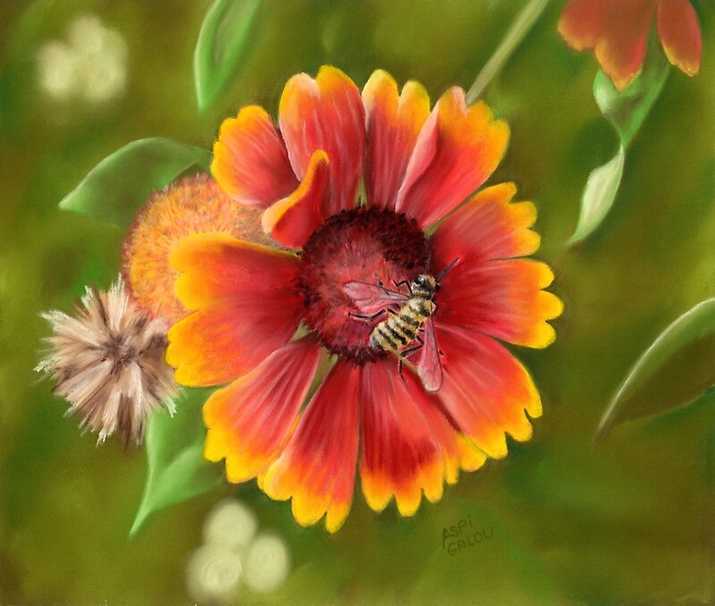 "Flower and bee" by Aspi-Galou | Redbubble