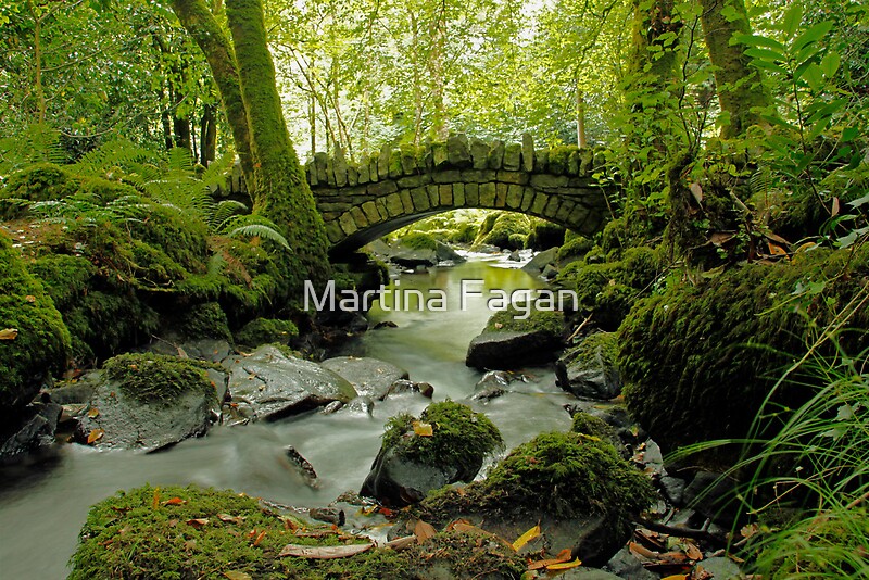 " Kilfane Glen " by Martina Fagan | Redbubble