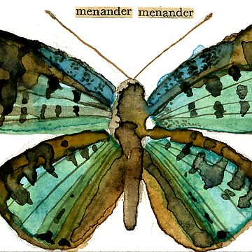 "Menander menander (Blue Tharops Butterfly)" Photographic Print for ...