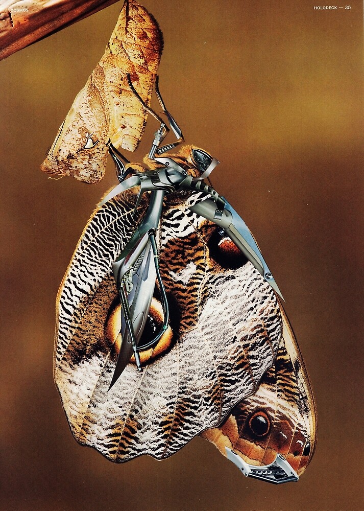 "'InSeKtOiD...'" by atomikboy | Redbubble