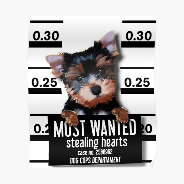Funny Wanted Posters | Redbubble