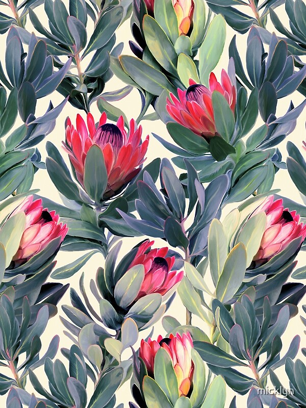 "Painted Protea Pattern" by micklyn | Redbubble