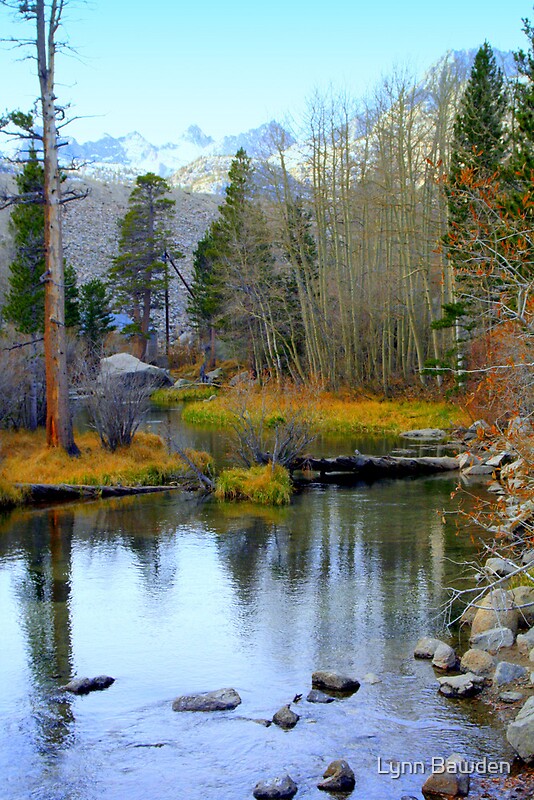 ""Early Morning Colors"" by Lynn Bawden | Redbubble