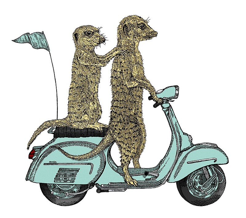 ""Alan & Steve" Colors" by TheCollywobbles | Redbubble