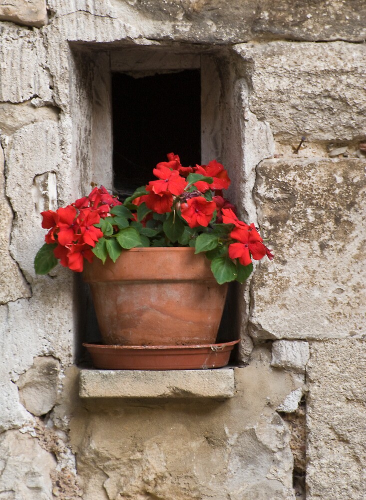 "Provence Flower Pot" by Donna Eaton | Redbubble