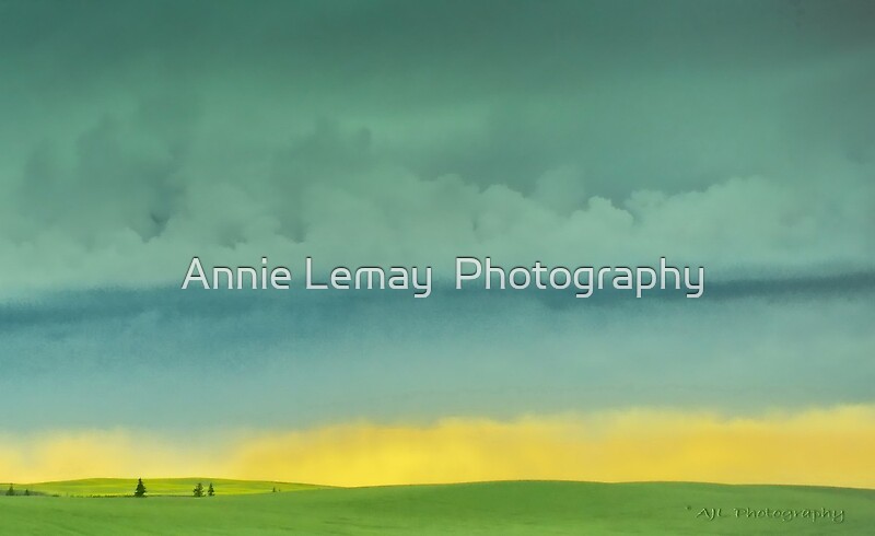 "Alberta Fields" by Annie Lemay Photography | Redbubble