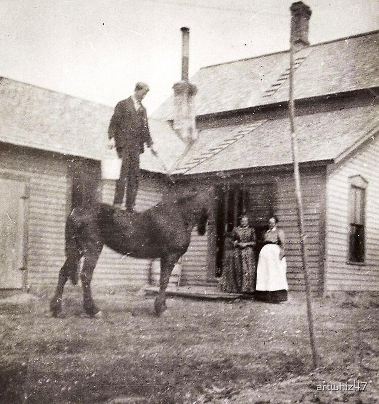 "Sagging Cob ~ Atlanta, Michigan" by artwhiz47 | Redbubble