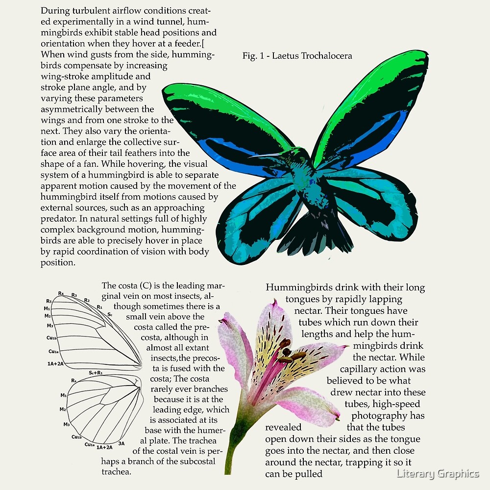"Hummingbird With Butterfly Wings" by Literary Graphics | Redbubble