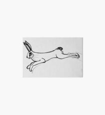 Leaping Rabbit Gifts & Merchandise | Redbubble