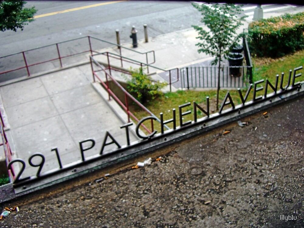 "The Brooklyn Brevoort Projects" by lilyblu | Redbubble