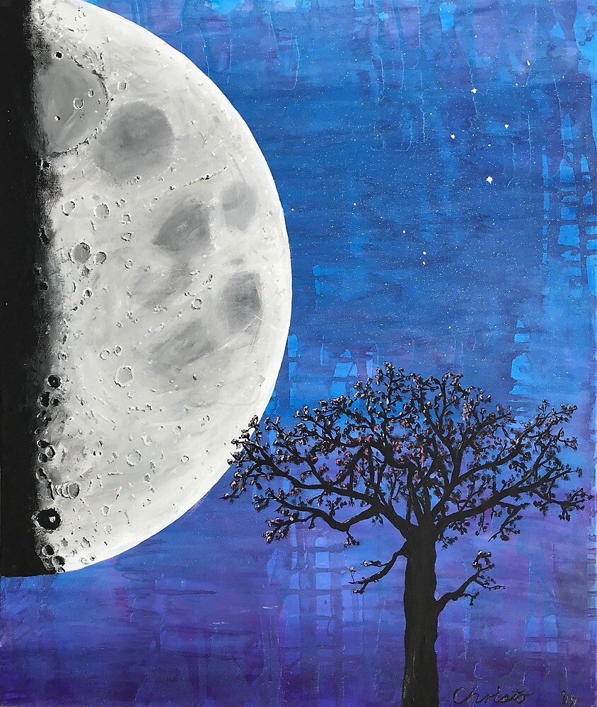 "Moon Shadow" by Christo007 | Redbubble