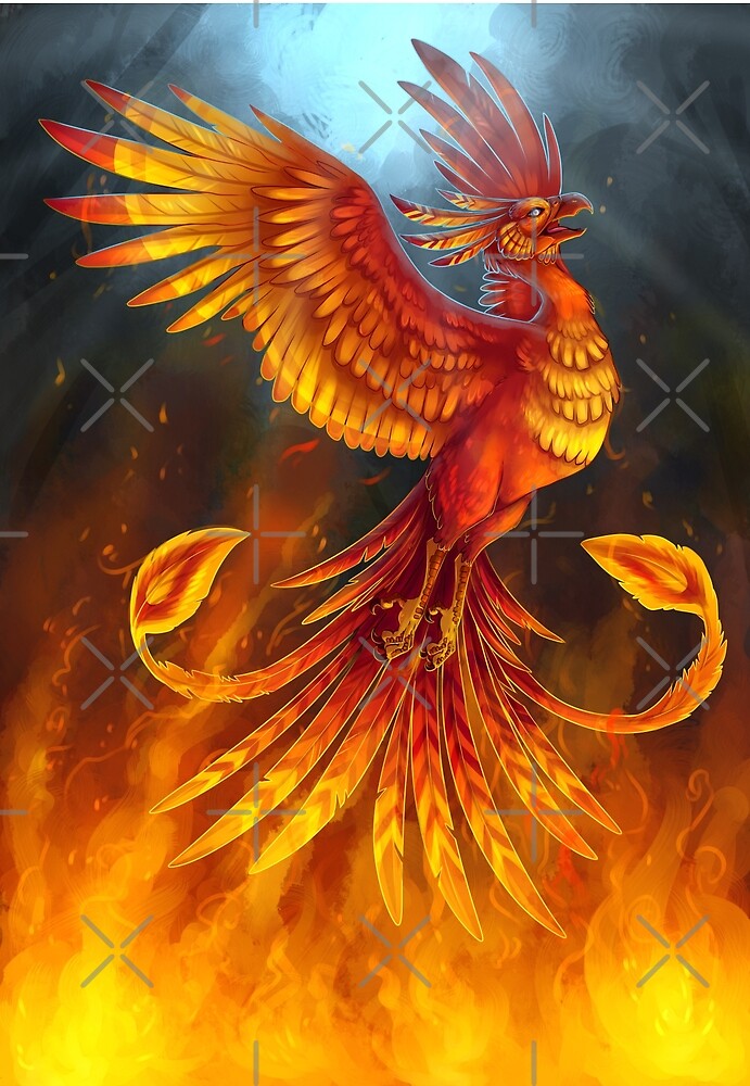 "Rise from the flames" by Kacey Gnitecki | Redbubble