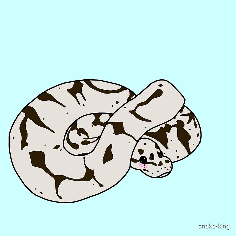 "Grey Ball Python" by snake-king | Redbubble