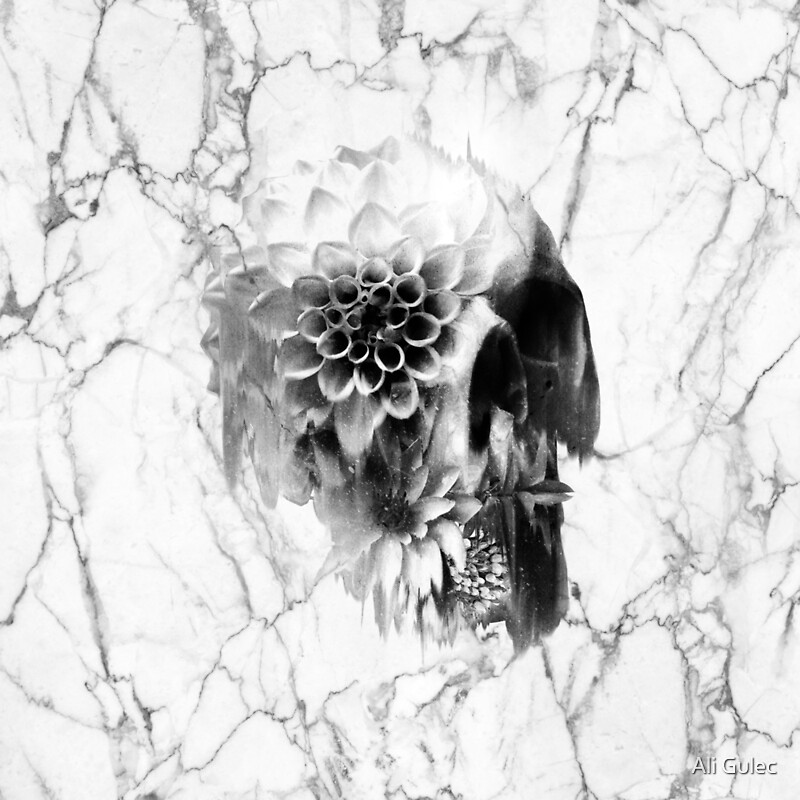 "Decay Skull Marble" by Ali Gulec | Redbubble
