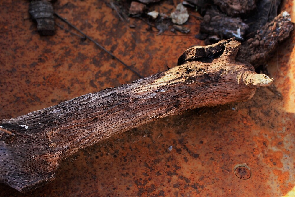 "Rusty Branch " by GiGiseppe | Redbubble