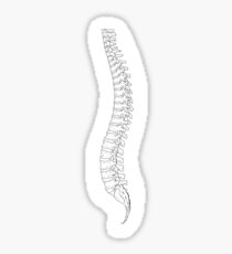 Spine Stickers | Redbubble