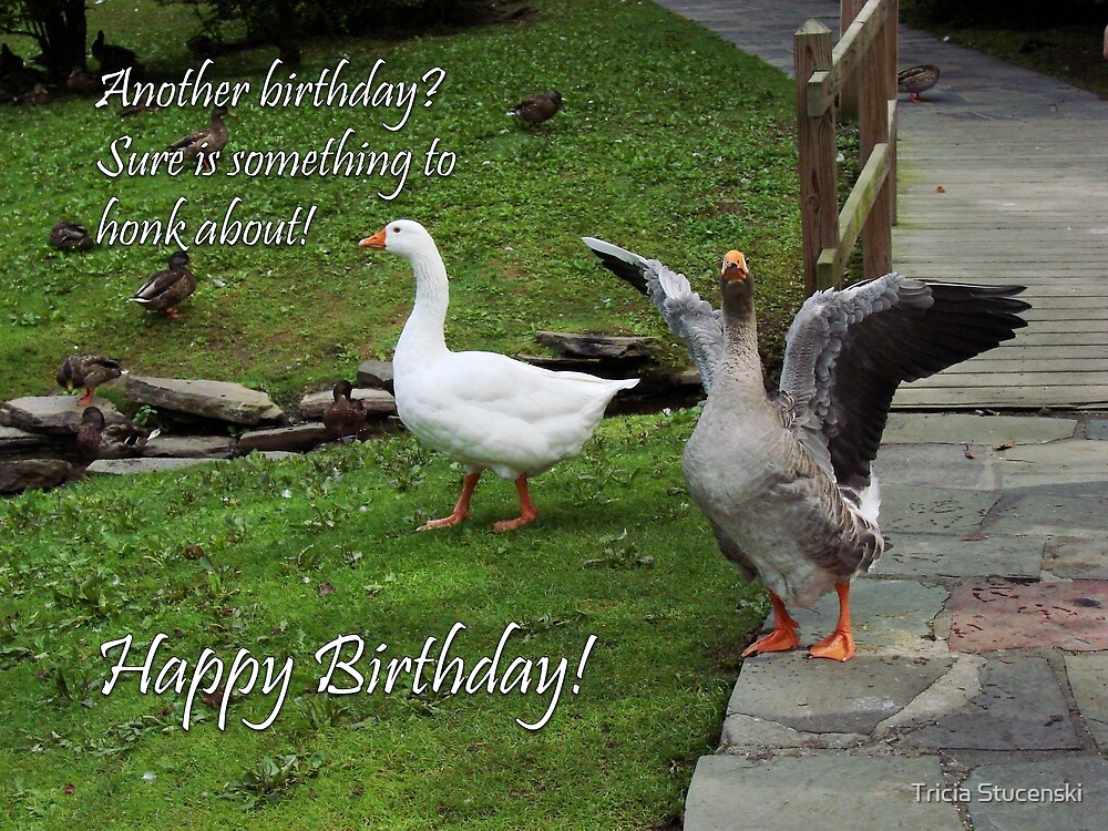 "Happy Birthday Geese" by Tricia Stucenski | Redbubble
