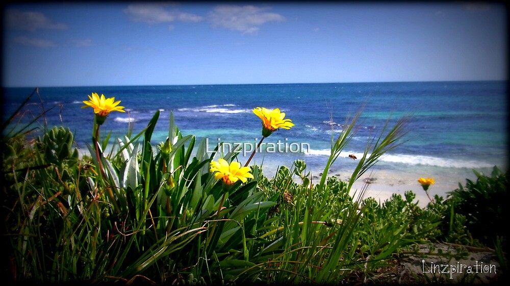 "Beautiful beachscape" by Linzpiration | Redbubble