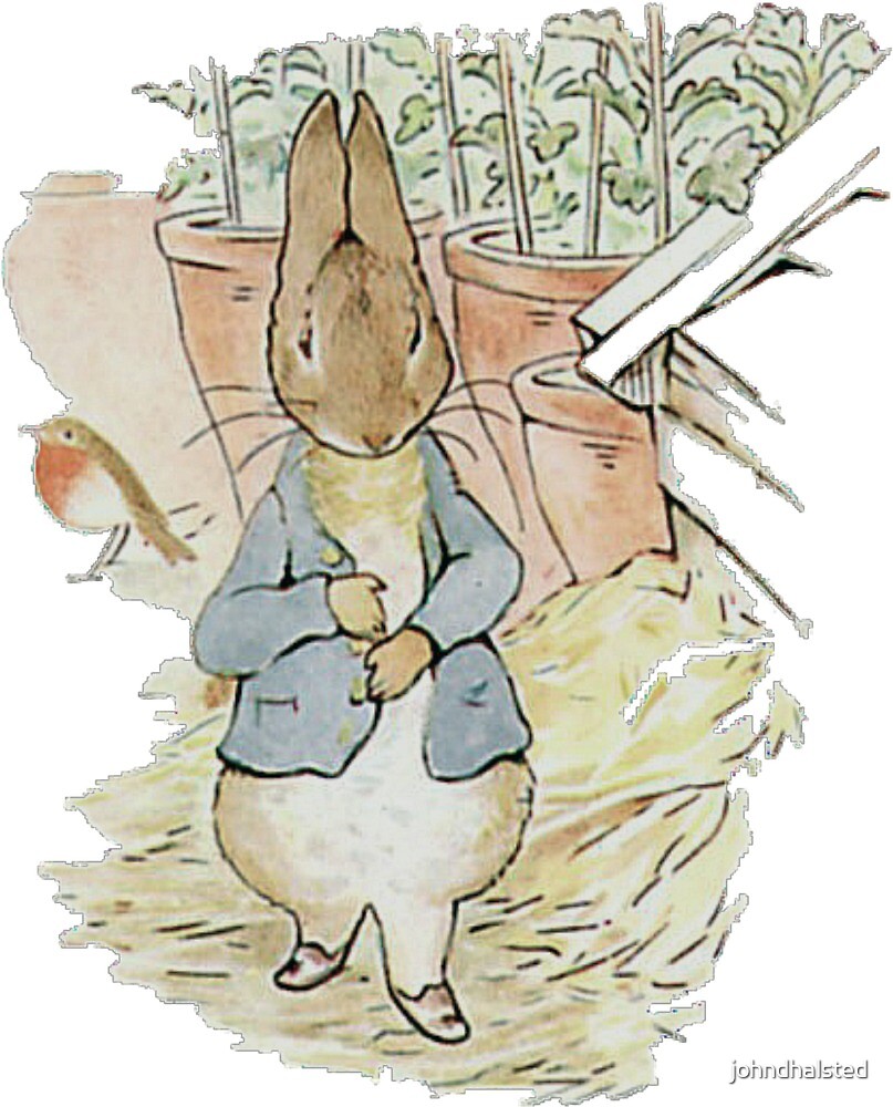 "PETER RABBIT FELT QUITE ILL AFTER EATING TOO MUCH - A Fairytale Image ...
