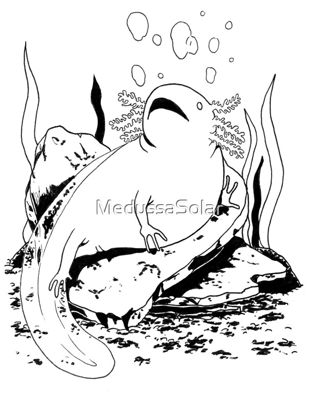 "Fat Axolotl" by MedussaSolar | Redbubble